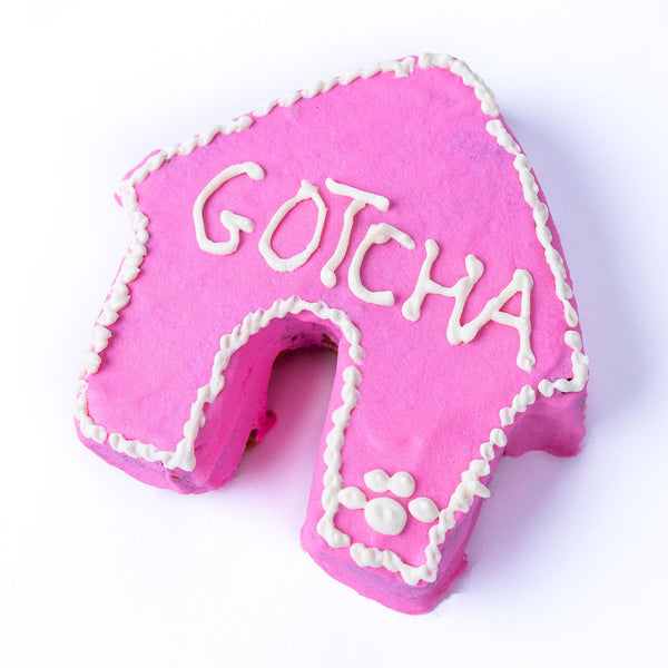 Bon Bon Cake - Gotcha Day – For Dog's Sake